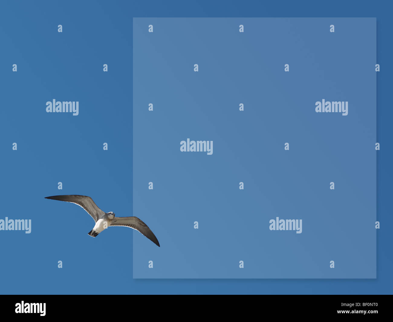 Textbox hi-res stock photography and images - Alamy