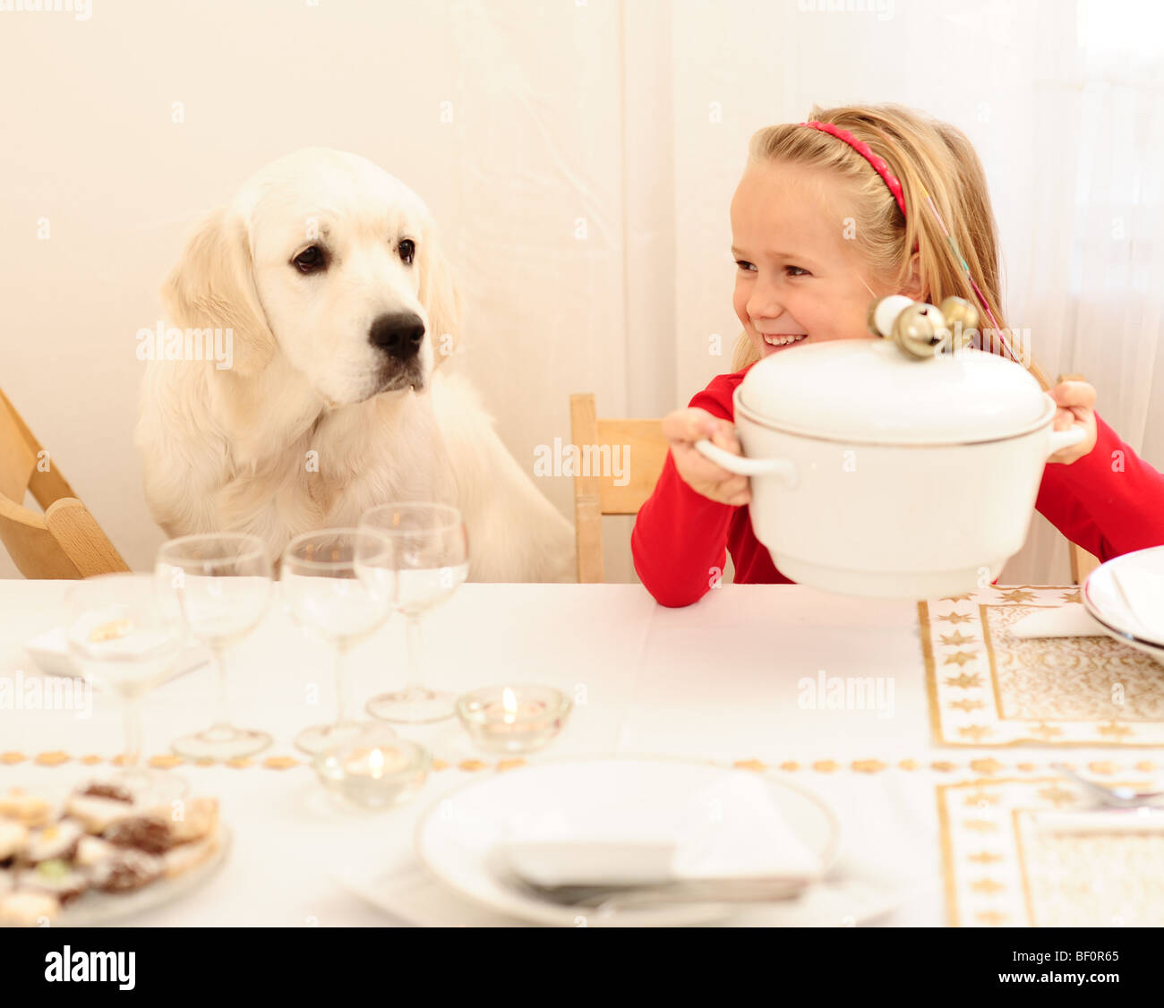 Dogs eating dinner table hi-res stock photography and images - Alamy