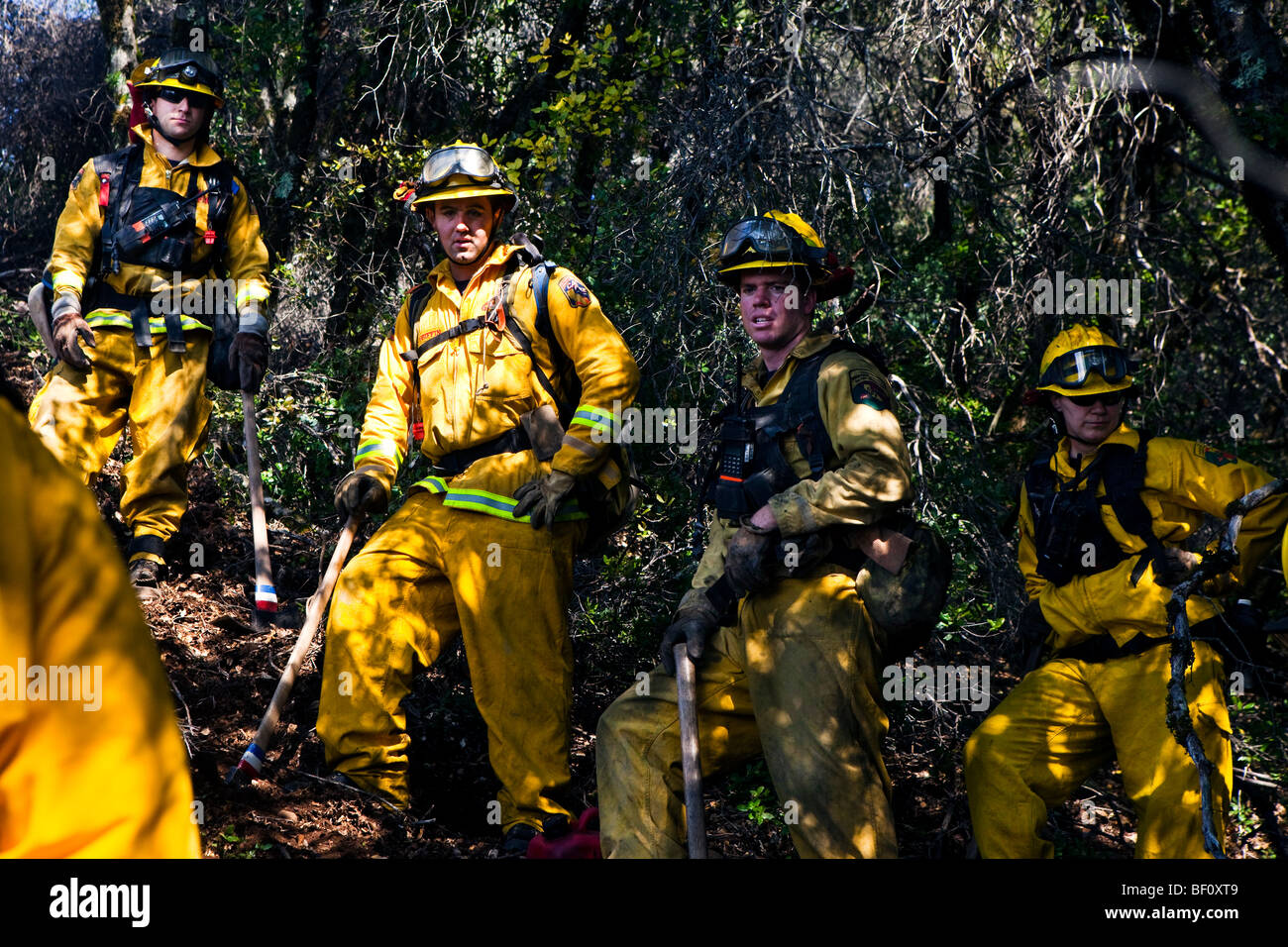 Wildland firefighters at California Loma wildfire in the Santa Cruz ...