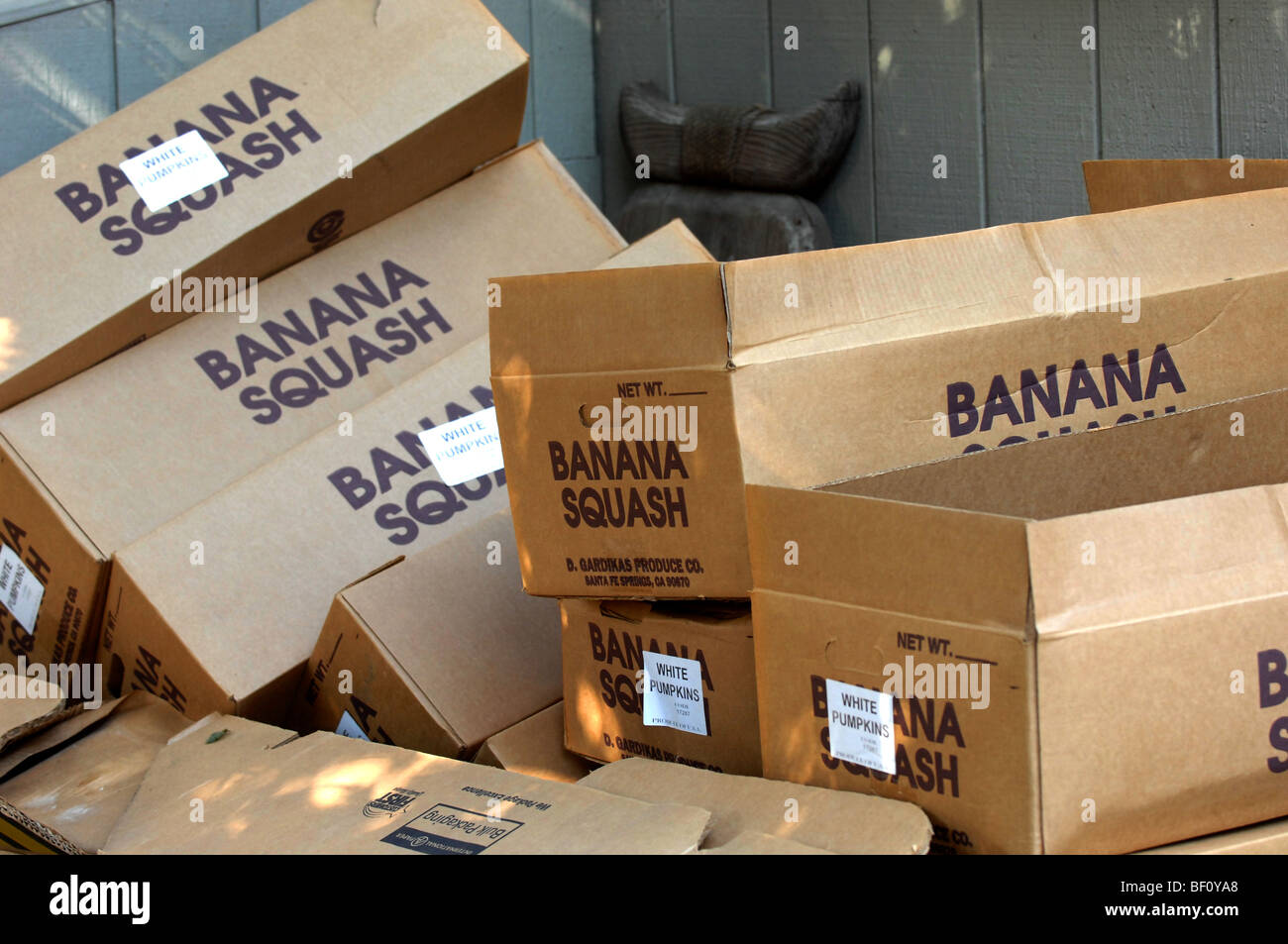 A pile of boxes that are labeled Banana squash Stock Photo - Alamy