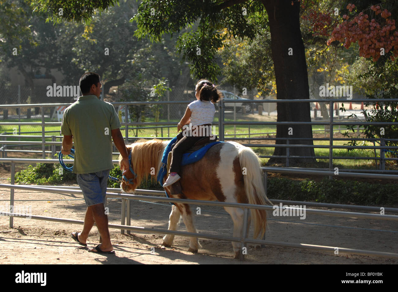 Children get pony rides at Irvine regional park in Orange County ...