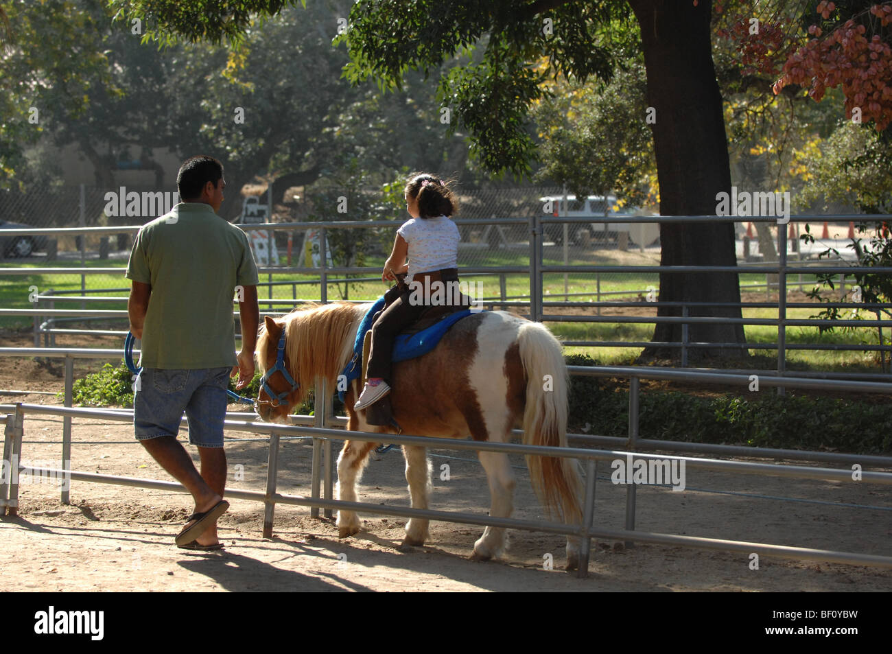 Children get pony rides at Irvine regional park in Orange County ...