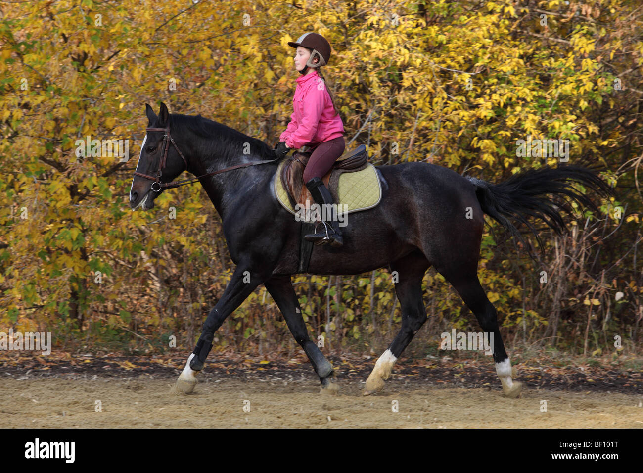 Rider Kids Young Kid Child Human High Resolution Stock Photography and ...