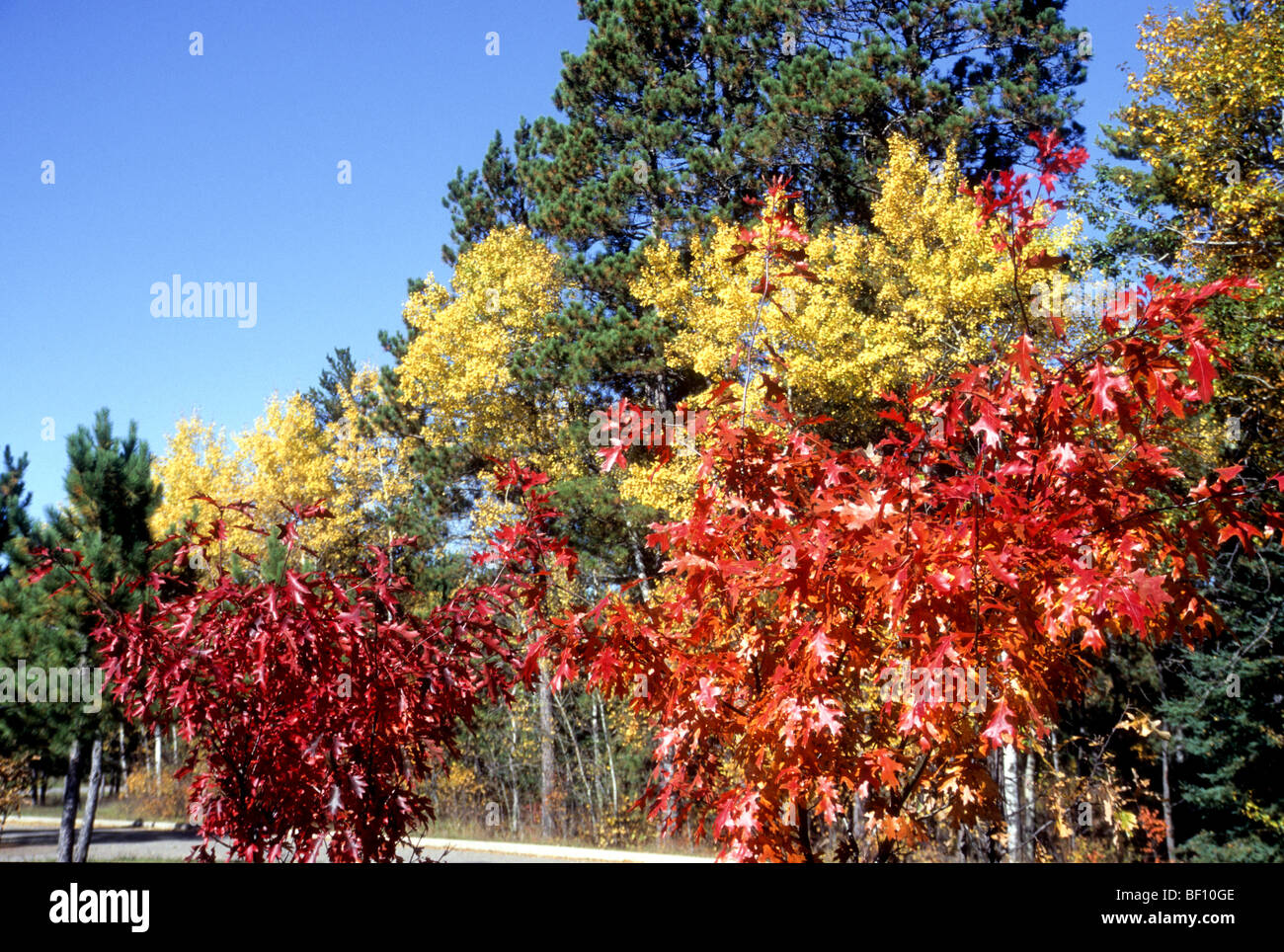 color change weather nature natural Stock Photo - Alamy