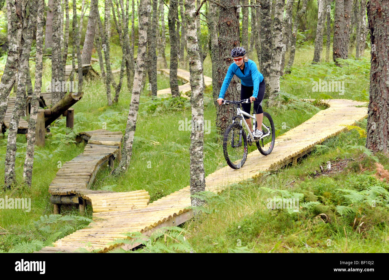 Friends cycling on a purpose built cross country mountain bike course ...
