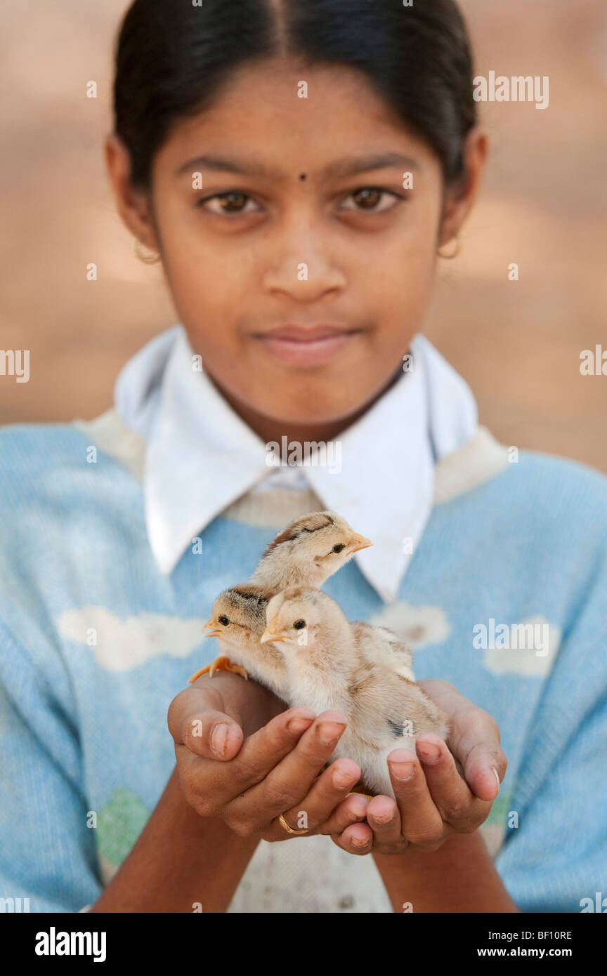 Young indian girl with chicks in the palm of her hands. Andhra Pradesh ...