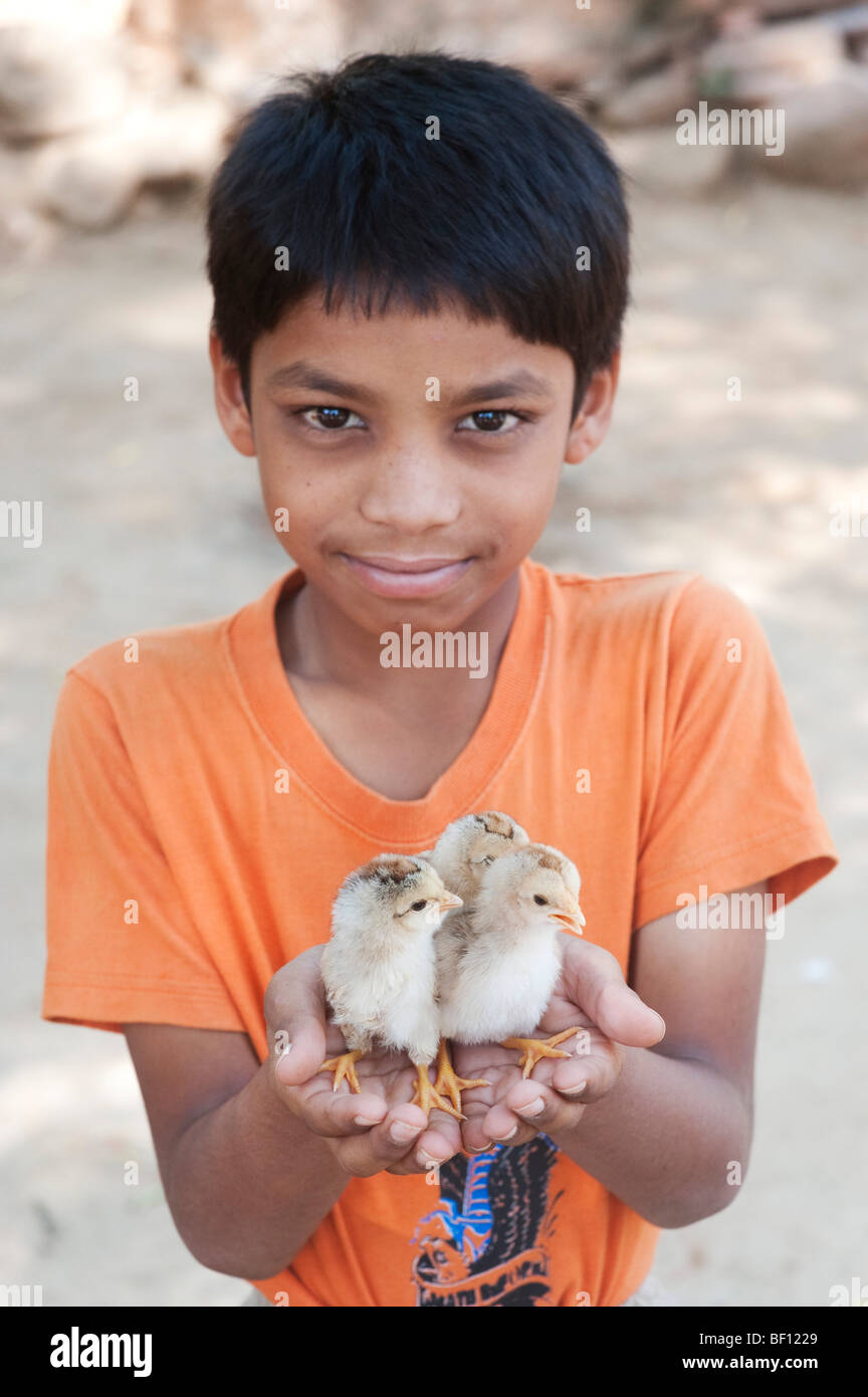 Young indian boy with chicks in the palm of his hands. Andhra Pradesh ...