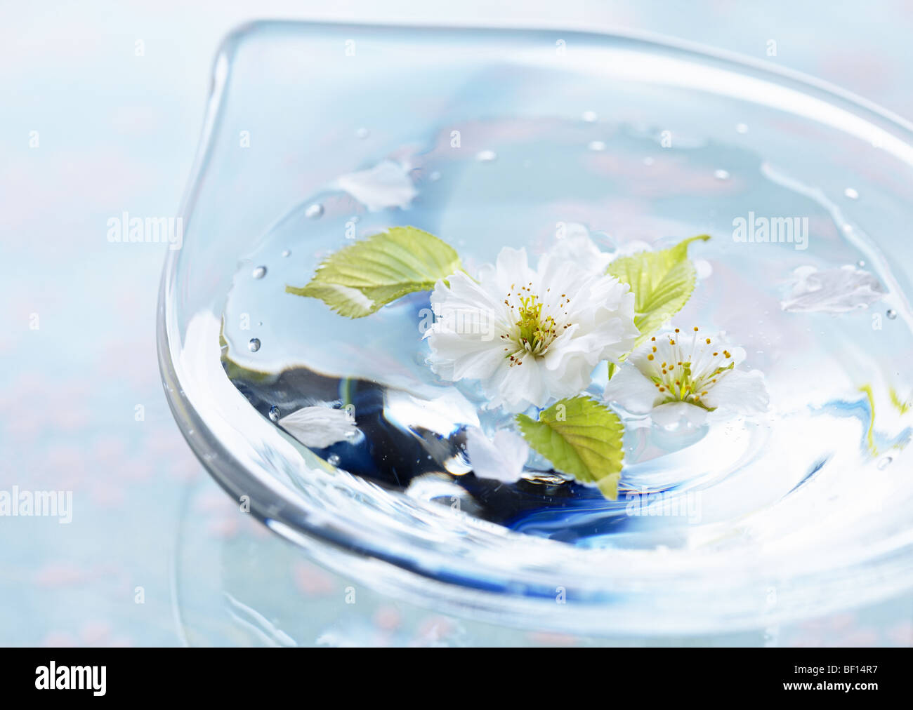Flower arrangement, Cherry blossom Stock Photo - Alamy