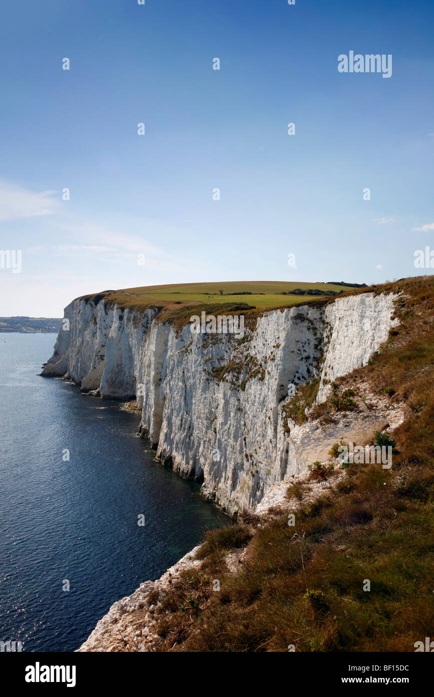 View of the white cliffs that stand between Old Harry Rocks and the ...