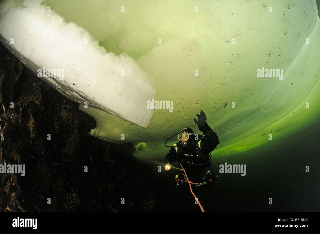 Ice diving winter sport hi-res stock photography and images - Alamy