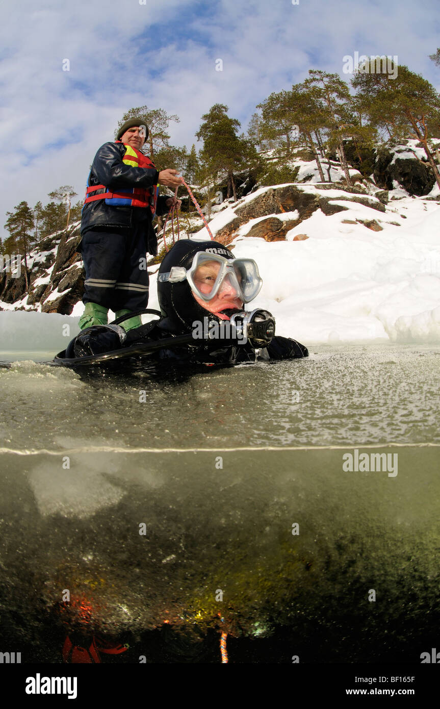 split shot from ice diving, ice diver, White Sea, Russia Stock Photo ...