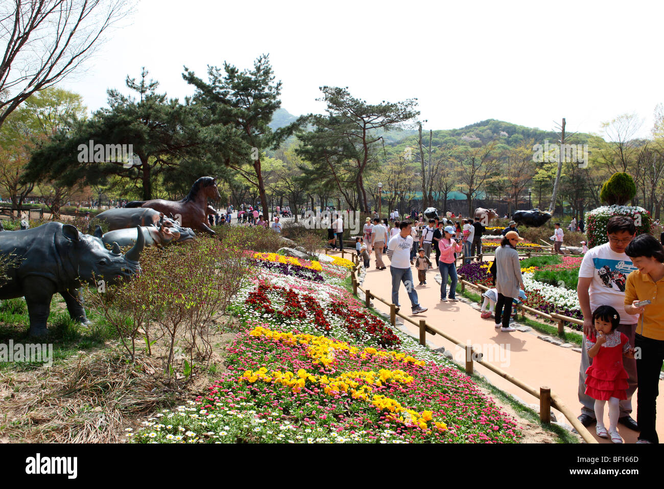 Seoul zoo hi-res stock photography and images - Alamy