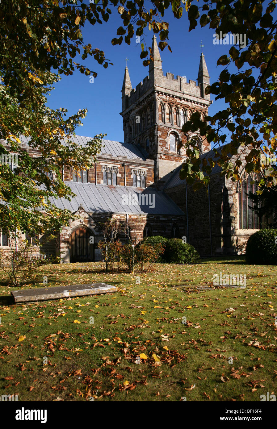 Wimborne Minster Church famed for its chained library and tomb of King ...