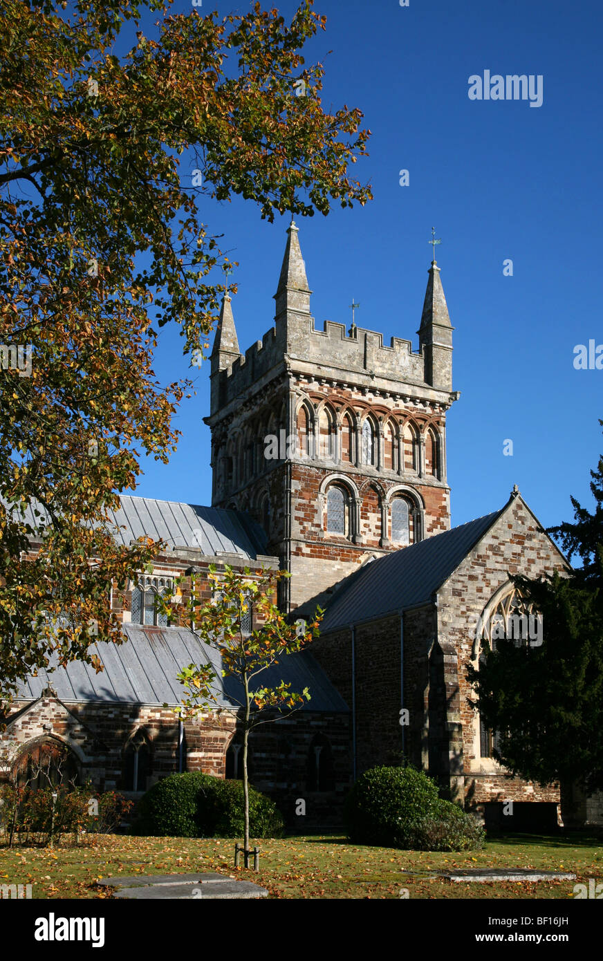 Wimborne Minster Church famed for its chained library and tomb of King ...