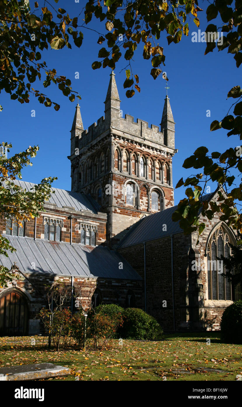 Wimborne Minster Church famed for its chained library and tomb of King ...