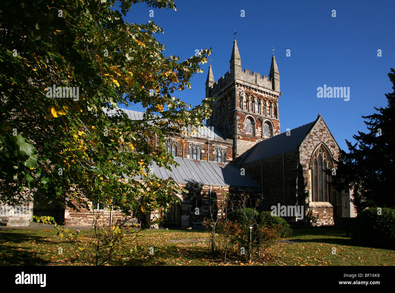 Wimborne Minster Church famed for its chained library and tomb of King ...