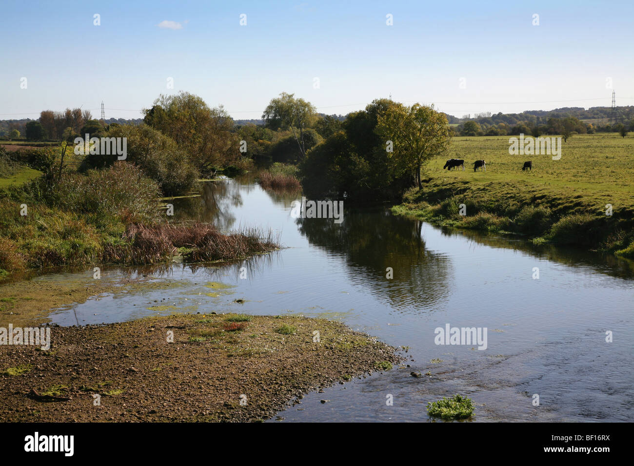 The River Stour at Sturminster Marshall, a picturesque village near ...