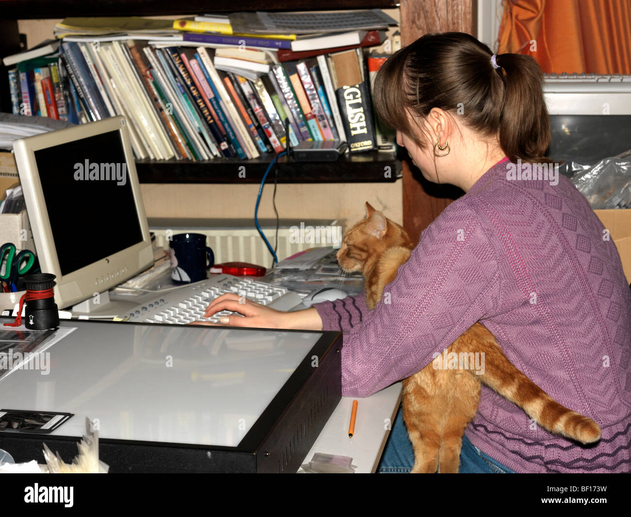 Young woman at her desk with a cat on her lap Stock Photo - Alamy