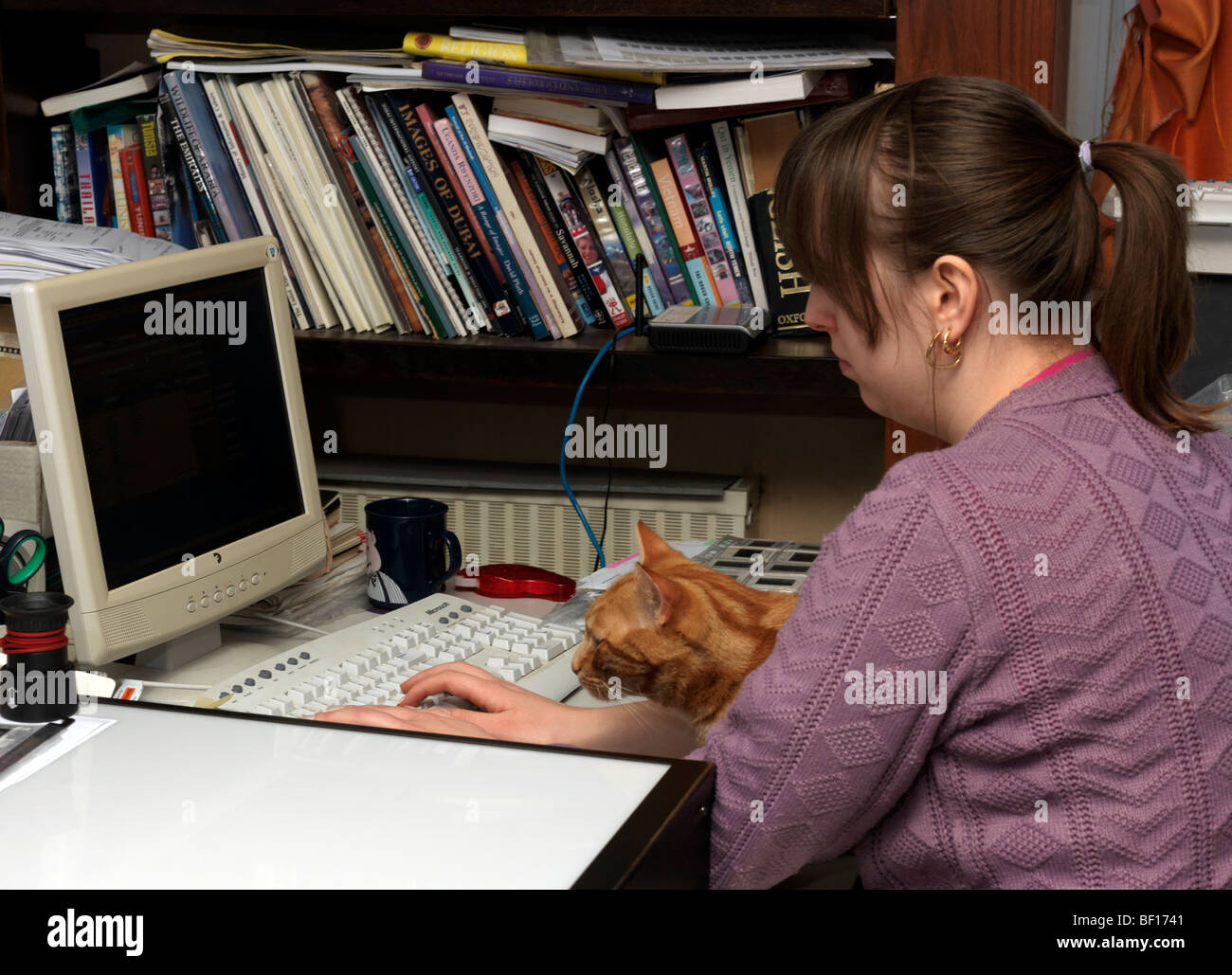 Young woman at her desk with a cat on her lap Stock Photo - Alamy