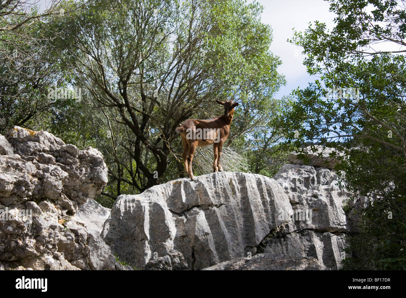 The Serra de Tramuntana mountains north west majorca mallorca Balearic ...