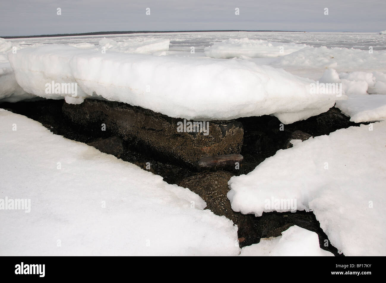 frozen bank with Sea ice, White Sea, Russia Stock Photo - Alamy