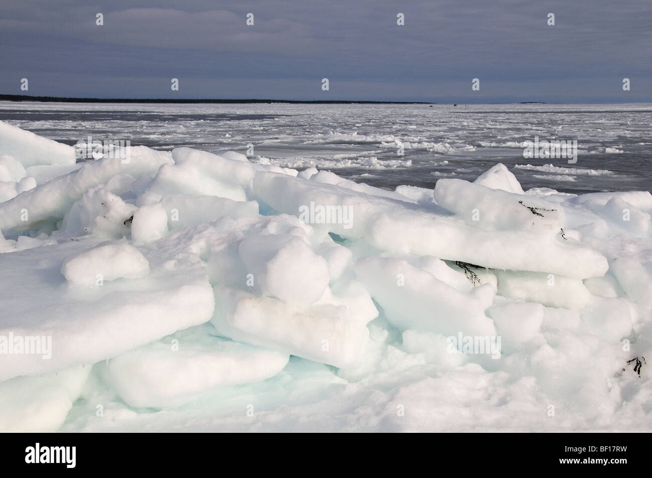 frozen bank with Sea ice, White Sea, Russia Stock Photo - Alamy