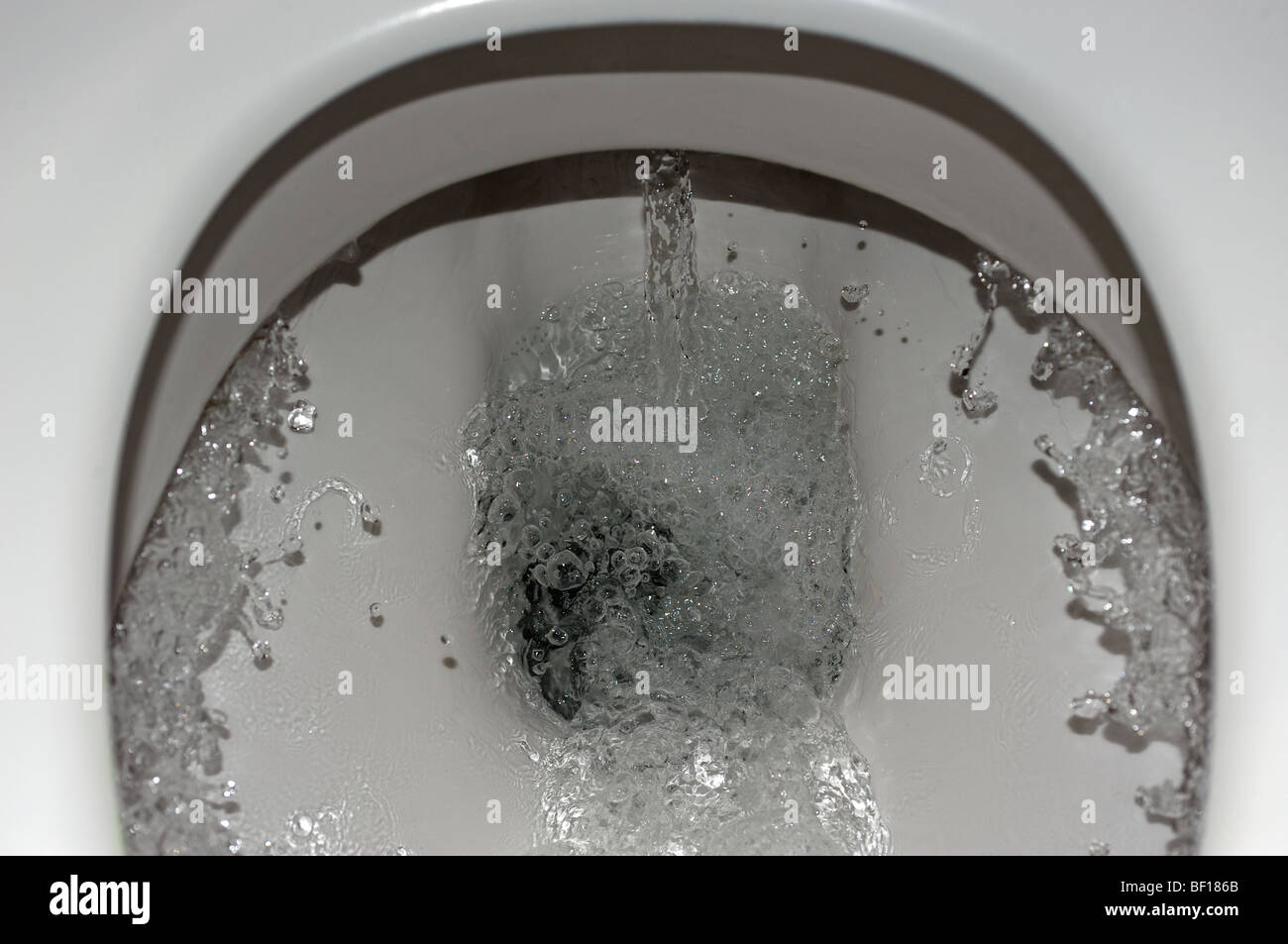 Water efficient toilet Stock Photo - Alamy