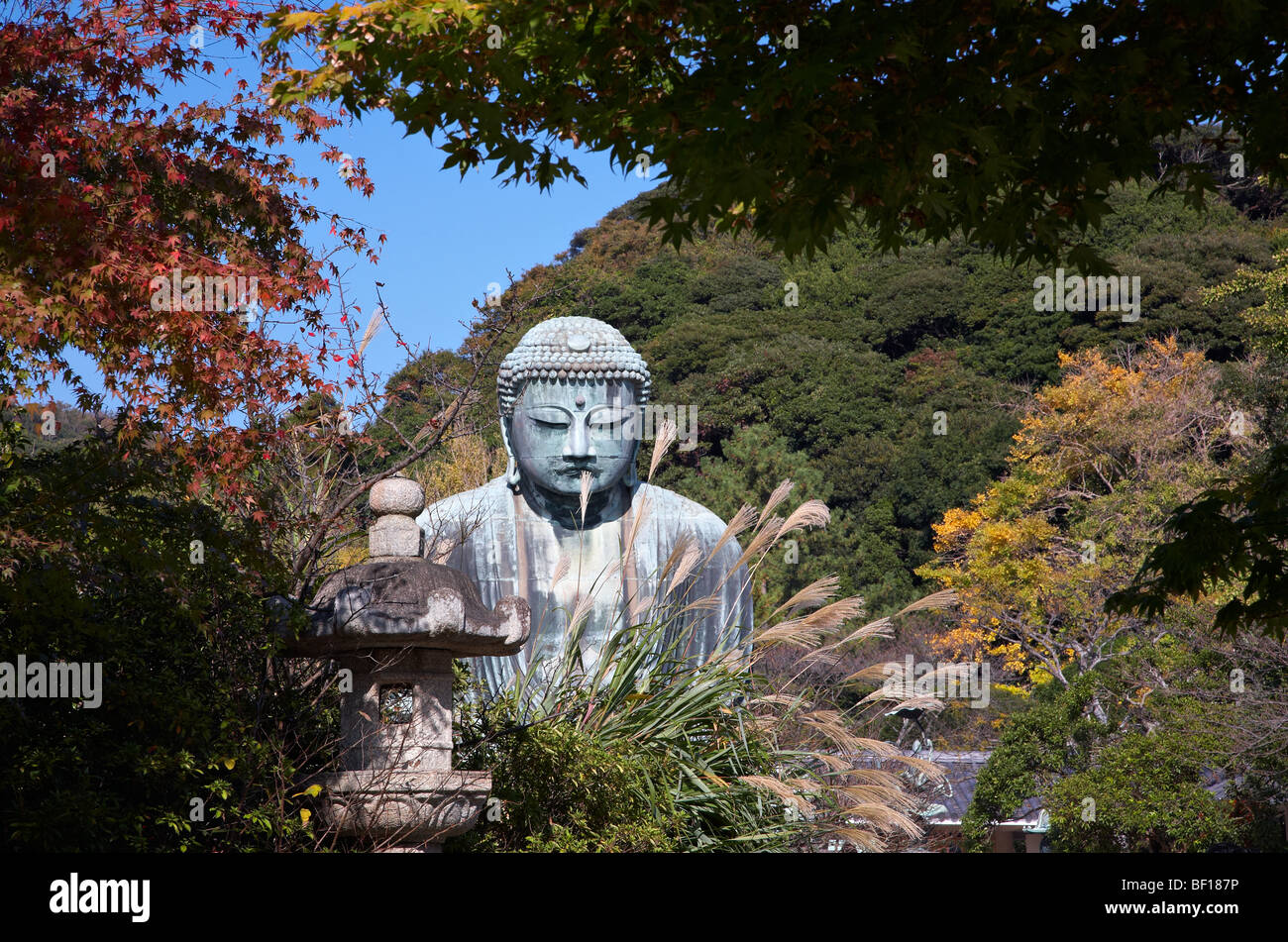 Daibutsu - famous Great Buddha bronze statue in Kamakura, Kotokuin ...