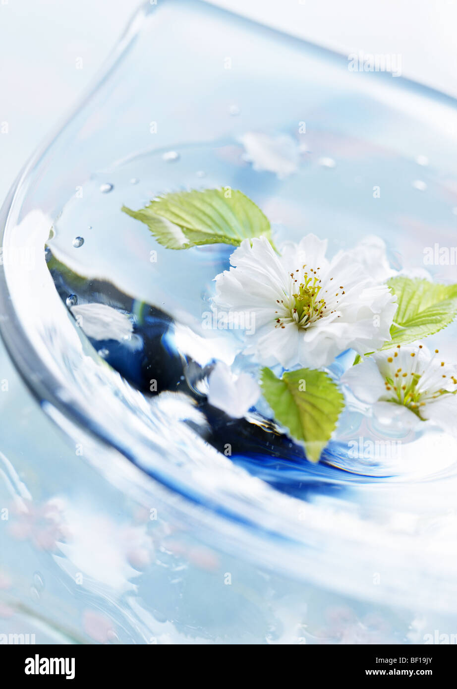 Flower arrangement, Cherry blossom Stock Photo - Alamy