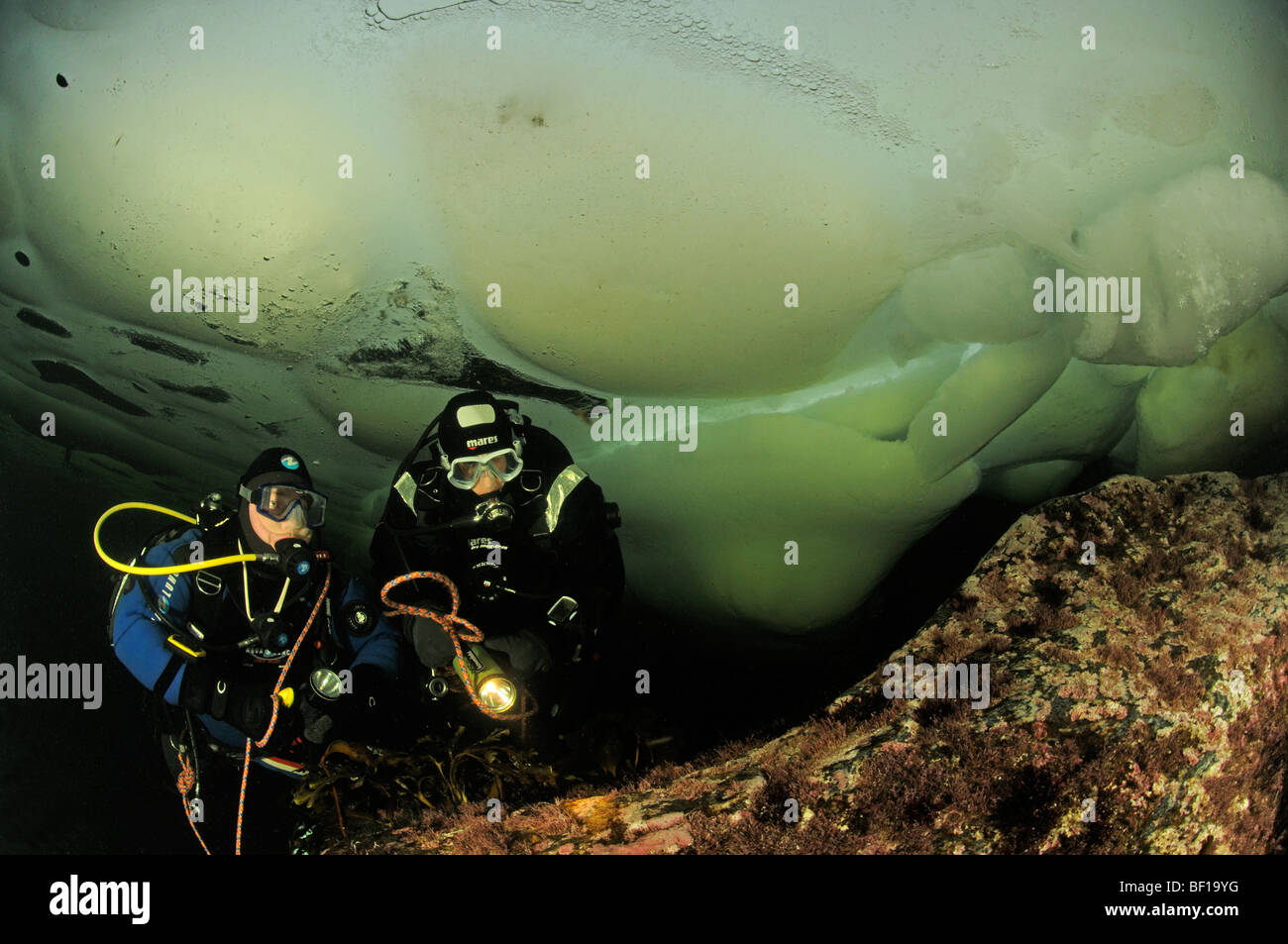 ice diving, ice diver with safty rope, White Sea, Russia Stock Photo ...