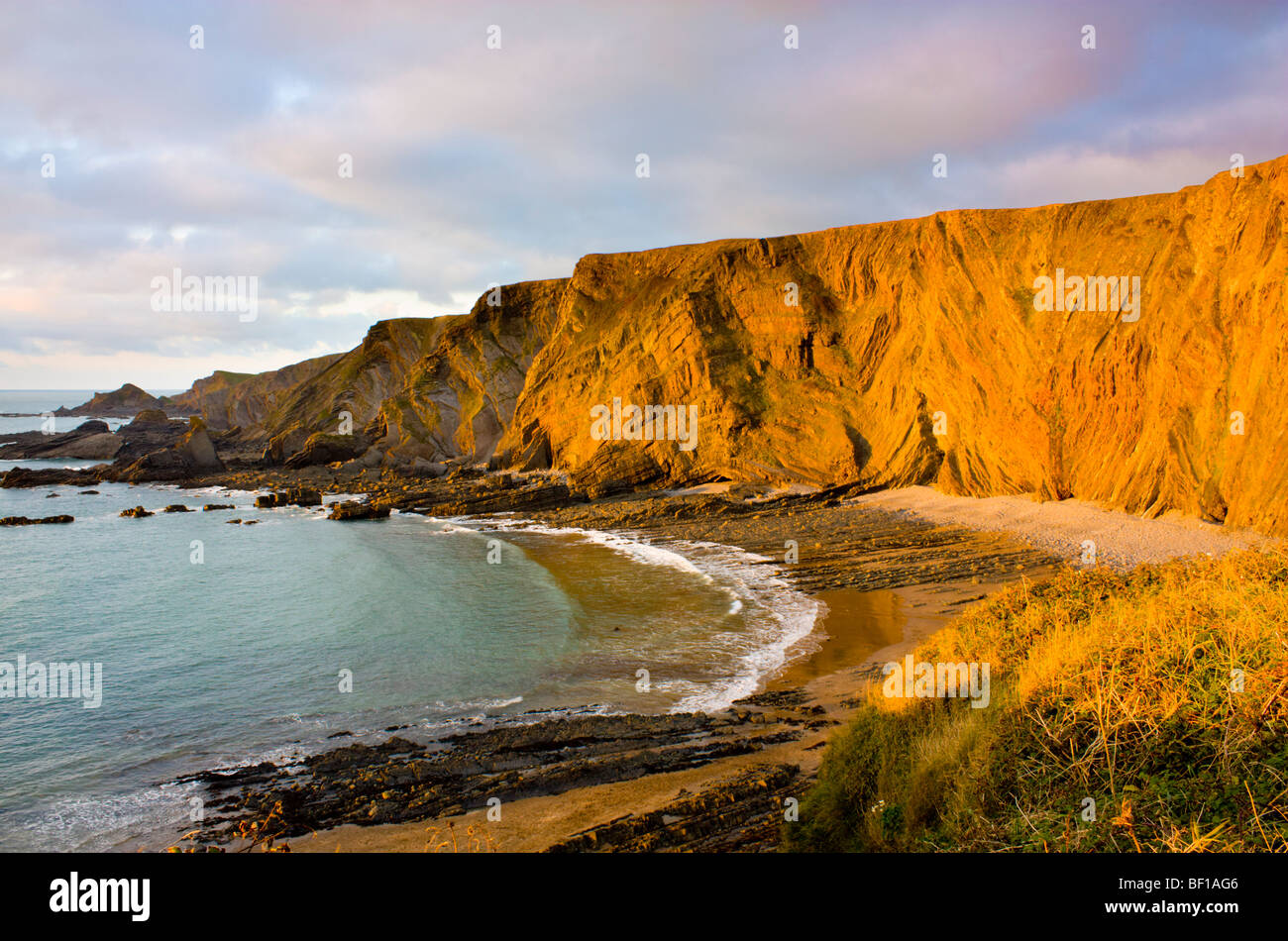 Evening light on cliffs at Hartland Quay, Devon, England UK Stock Photo ...