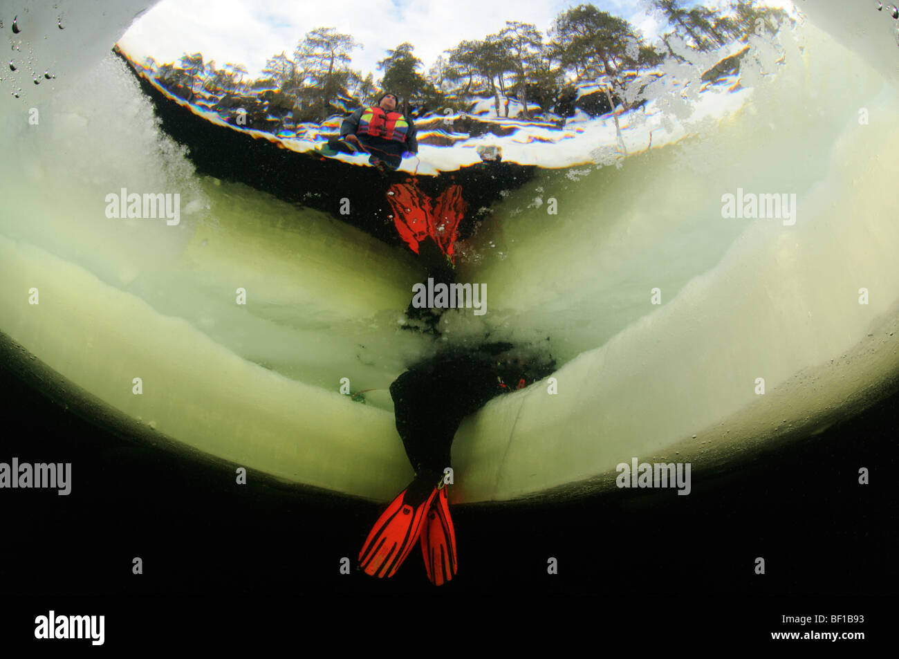 ice diving, ice diver sitting on the ice hole, White Sea, Russia Stock ...