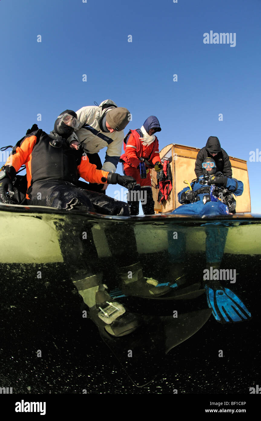 Icescubadiving hi-res stock photography and images - Alamy