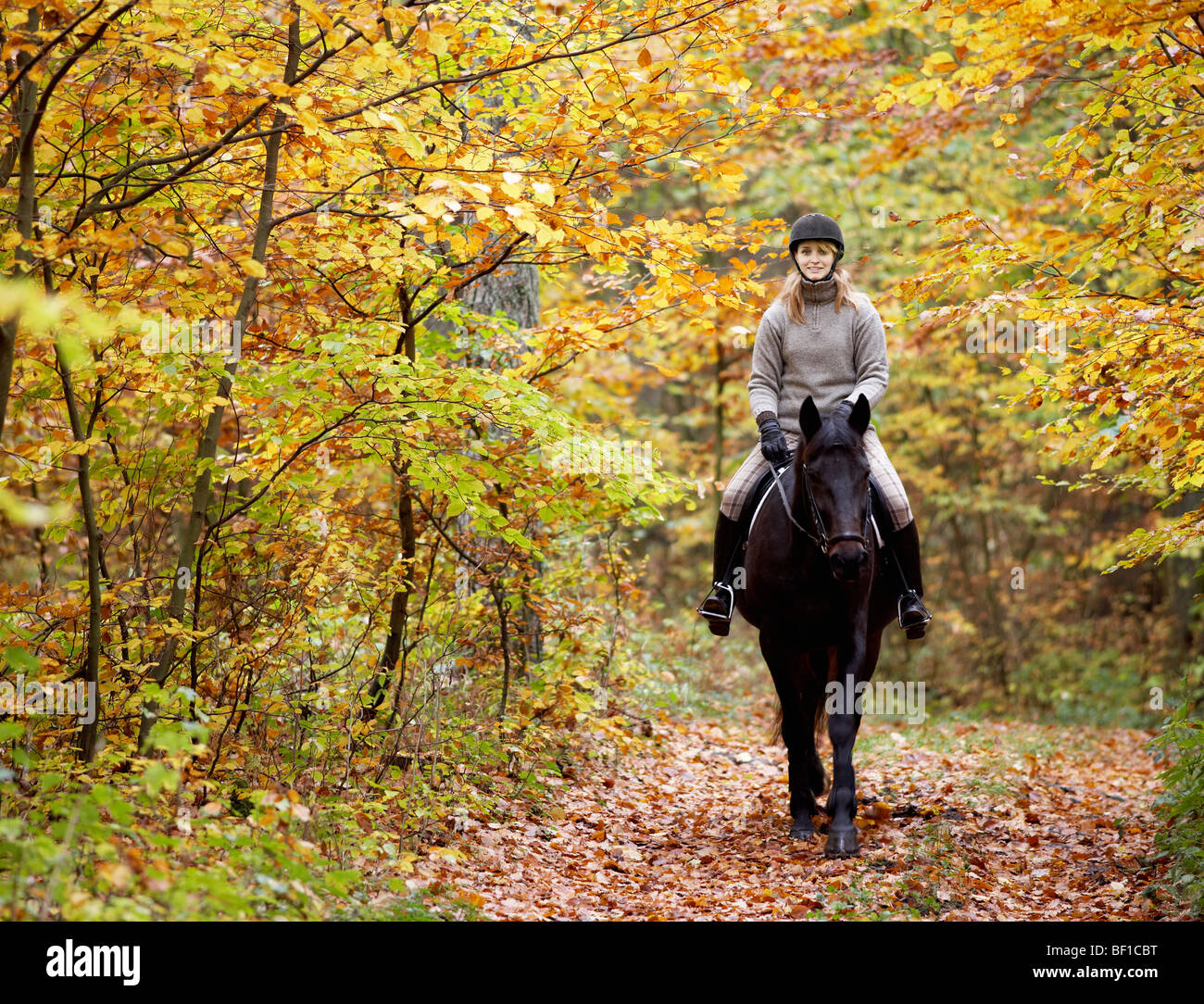 A woman riding a horse, Sweden Stock Photo - Alamy