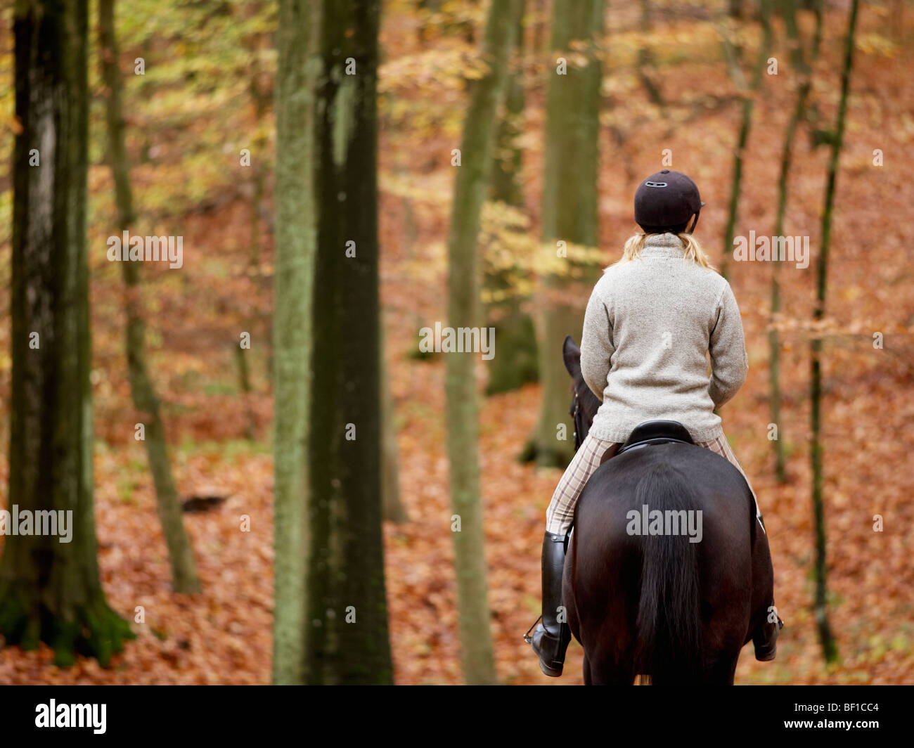 A woman riding a horse, Sweden Stock Photo - Alamy