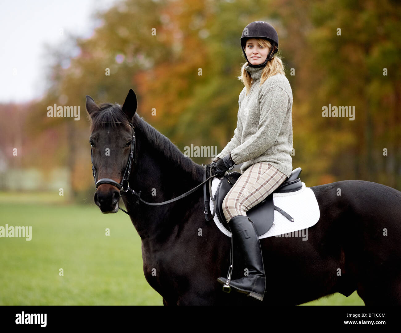 A woman riding a horse, Sweden Stock Photo - Alamy