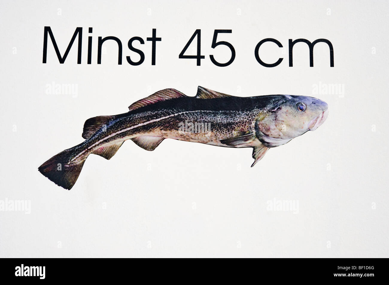 Lubb hi-res stock photography and images - Alamy