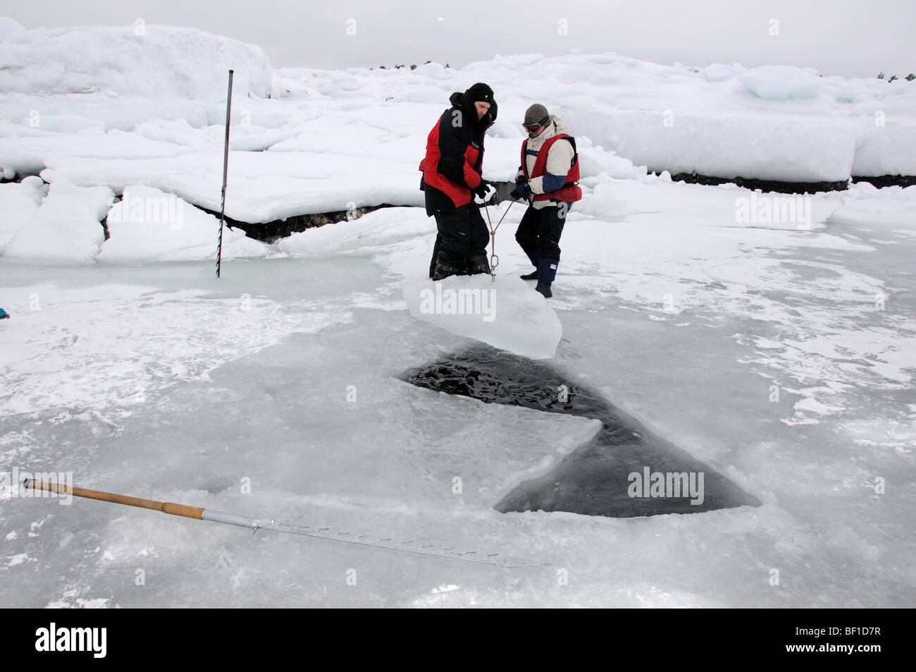ice diving, ice camp, White Sea, Russia Stock Photo - Alamy