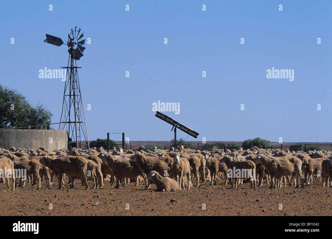 Australian outback, sheep ranch, solar and wind power and water trough ...