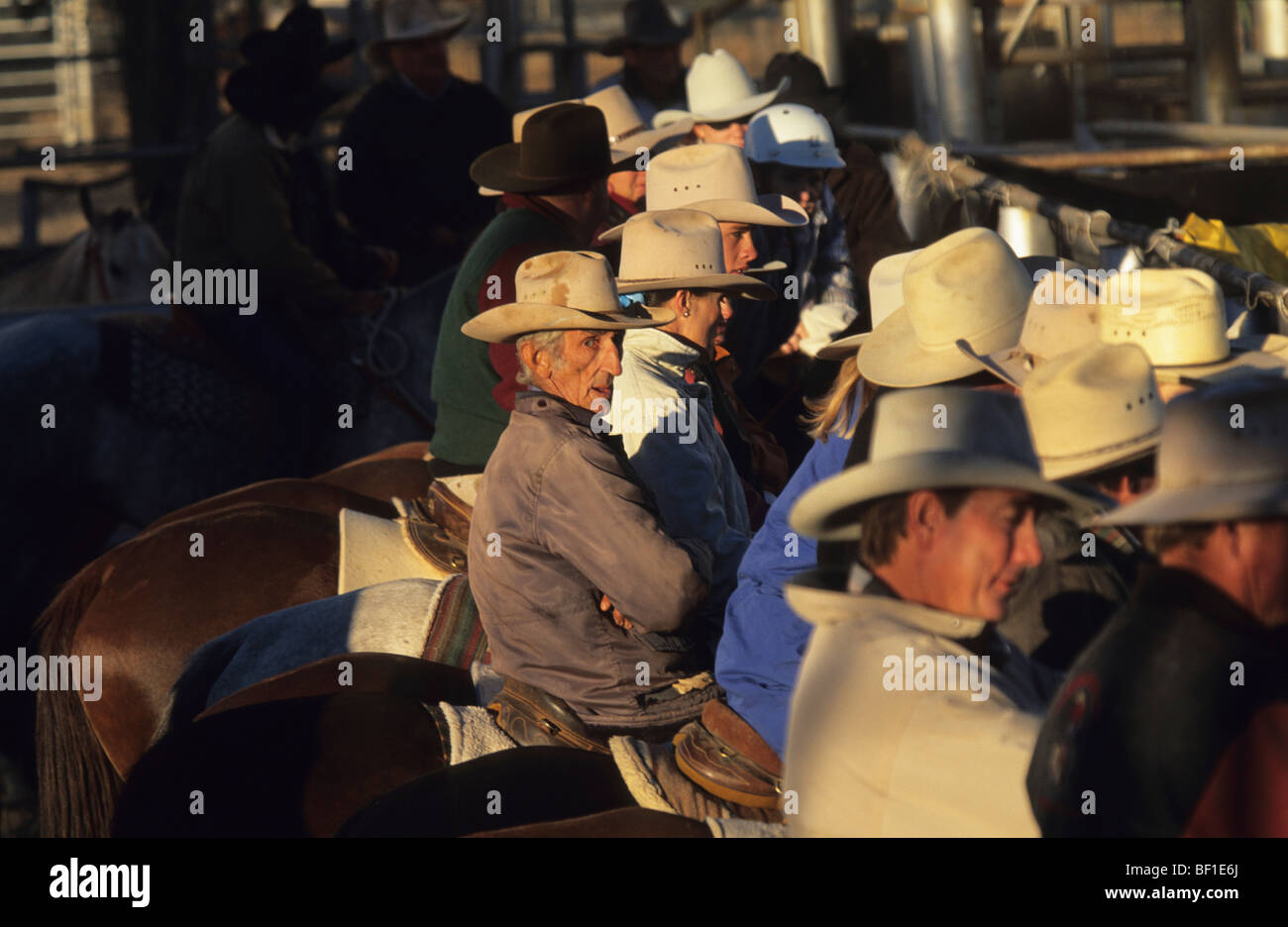 Rodeo girls hi-res stock photography and images - Alamy
