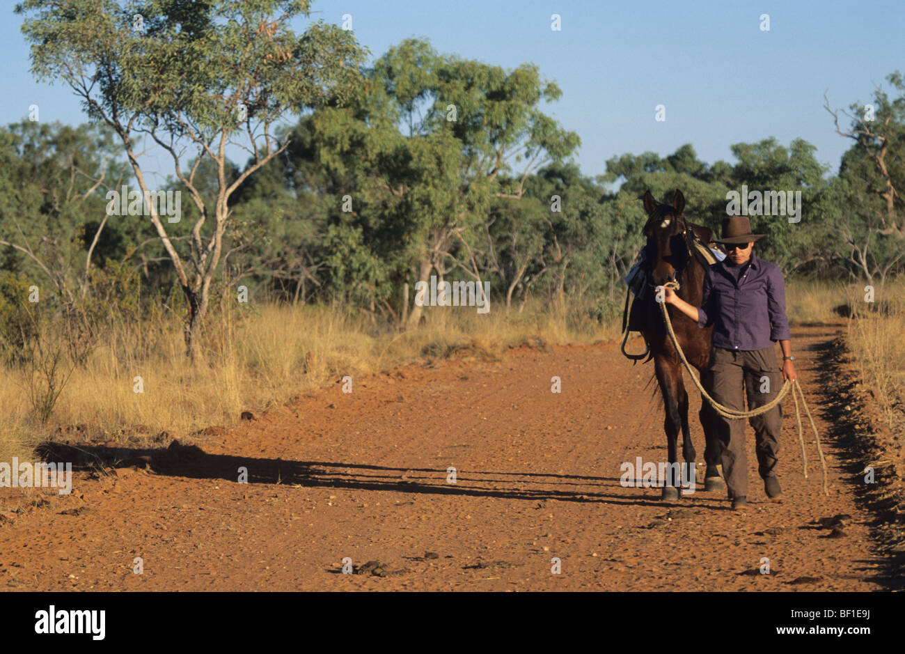 Australia outback horses High Resolution Stock Photography and Images ...