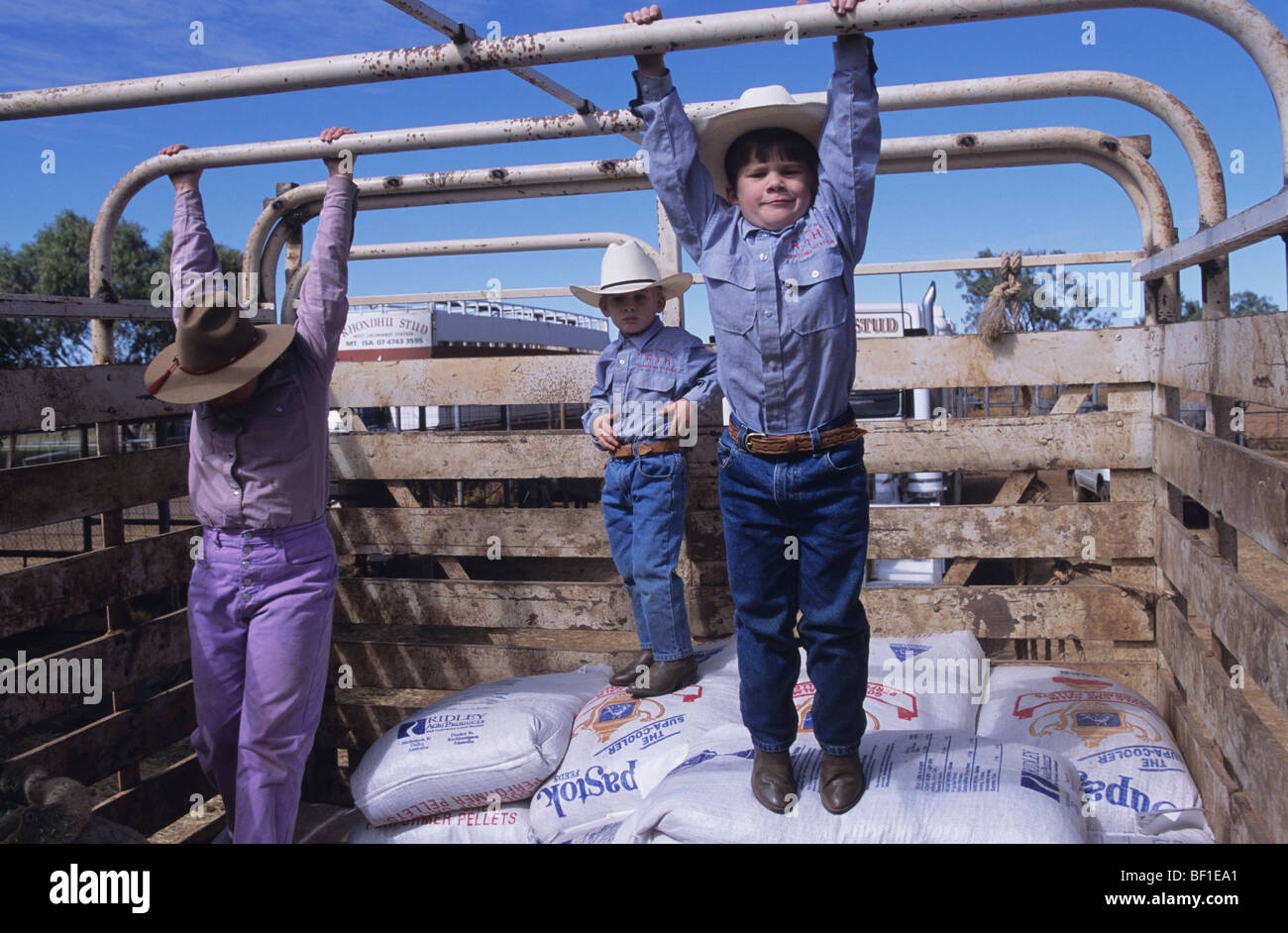 Boys + girl, children, cowboys matching Stetson hats, shirts and jeans ...