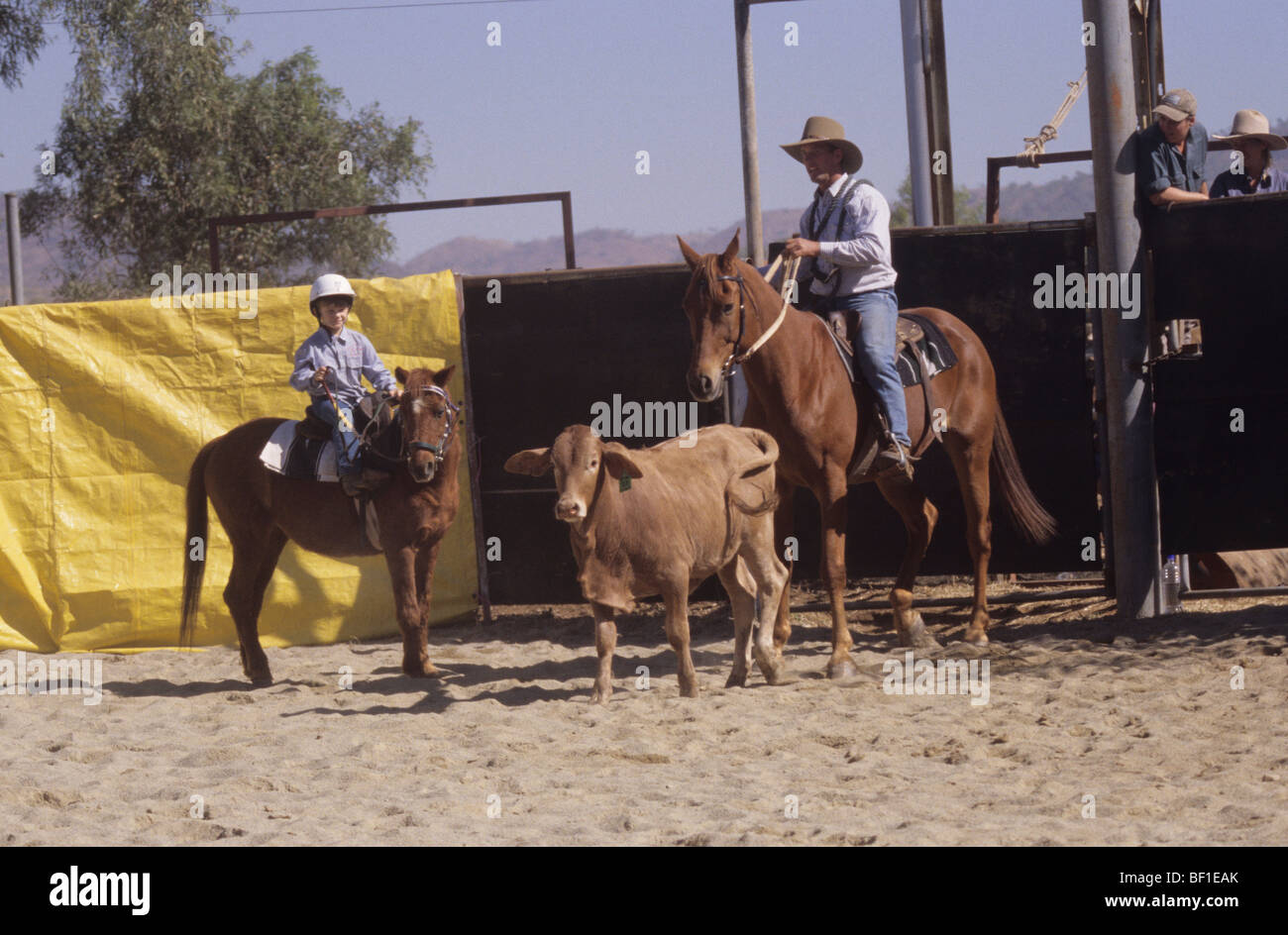 The father of australia hi-res stock photography and images - Alamy