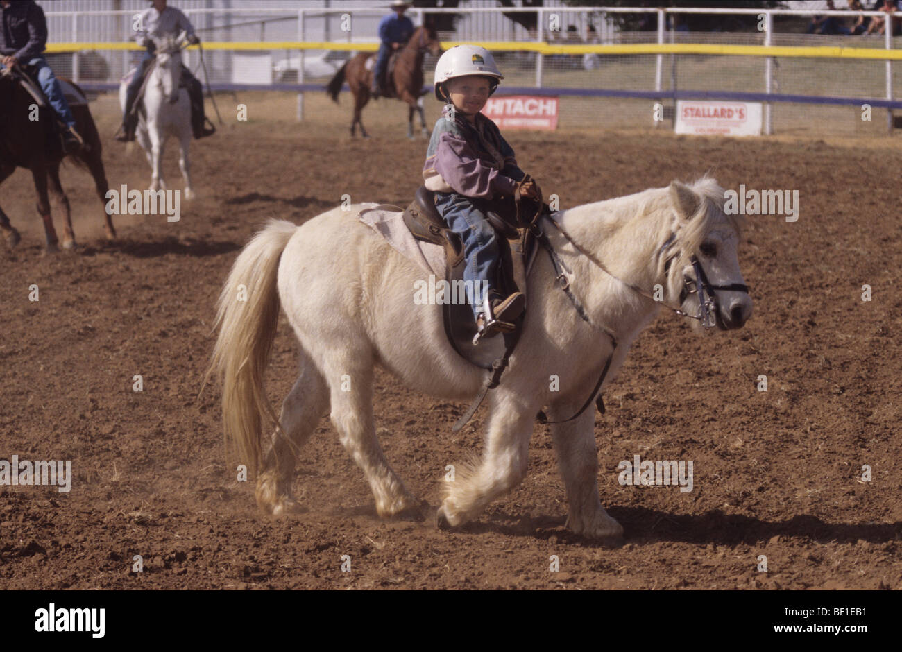Little boy on horseback, miniature pony, Shetland, kids rodeo ...