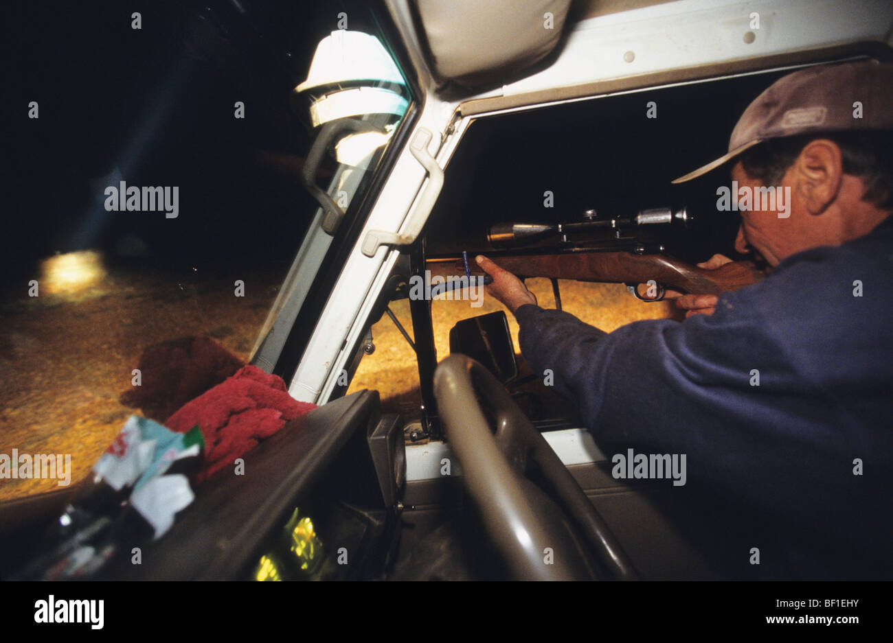 Kangaroo hunter in outback, shooting at kangaroo from vehicle, at night ...