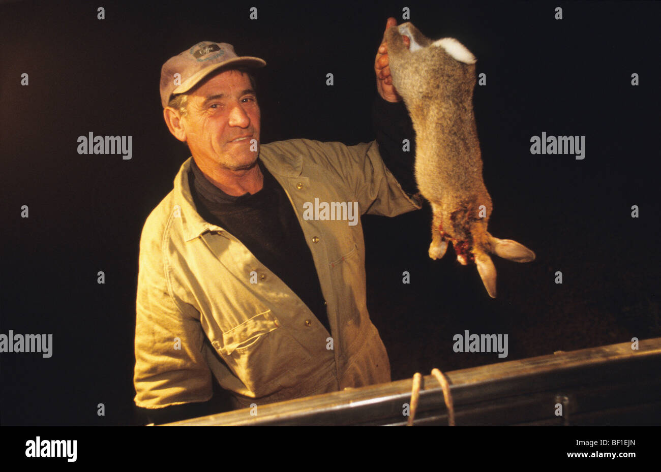 Rabbit hunt australia hi-res stock photography and images - Alamy