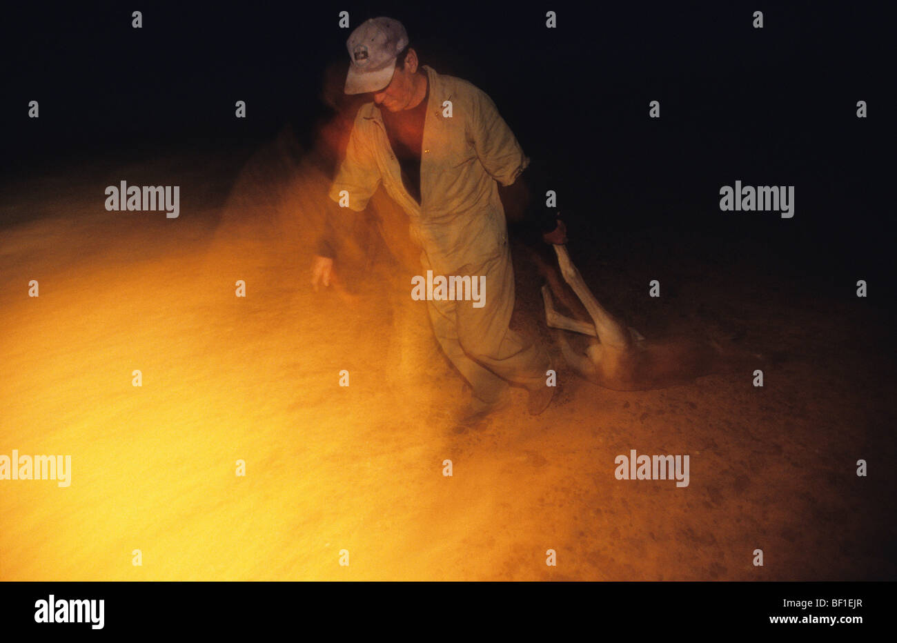 Australia outback kangaroo hunter hi-res stock photography and images ...