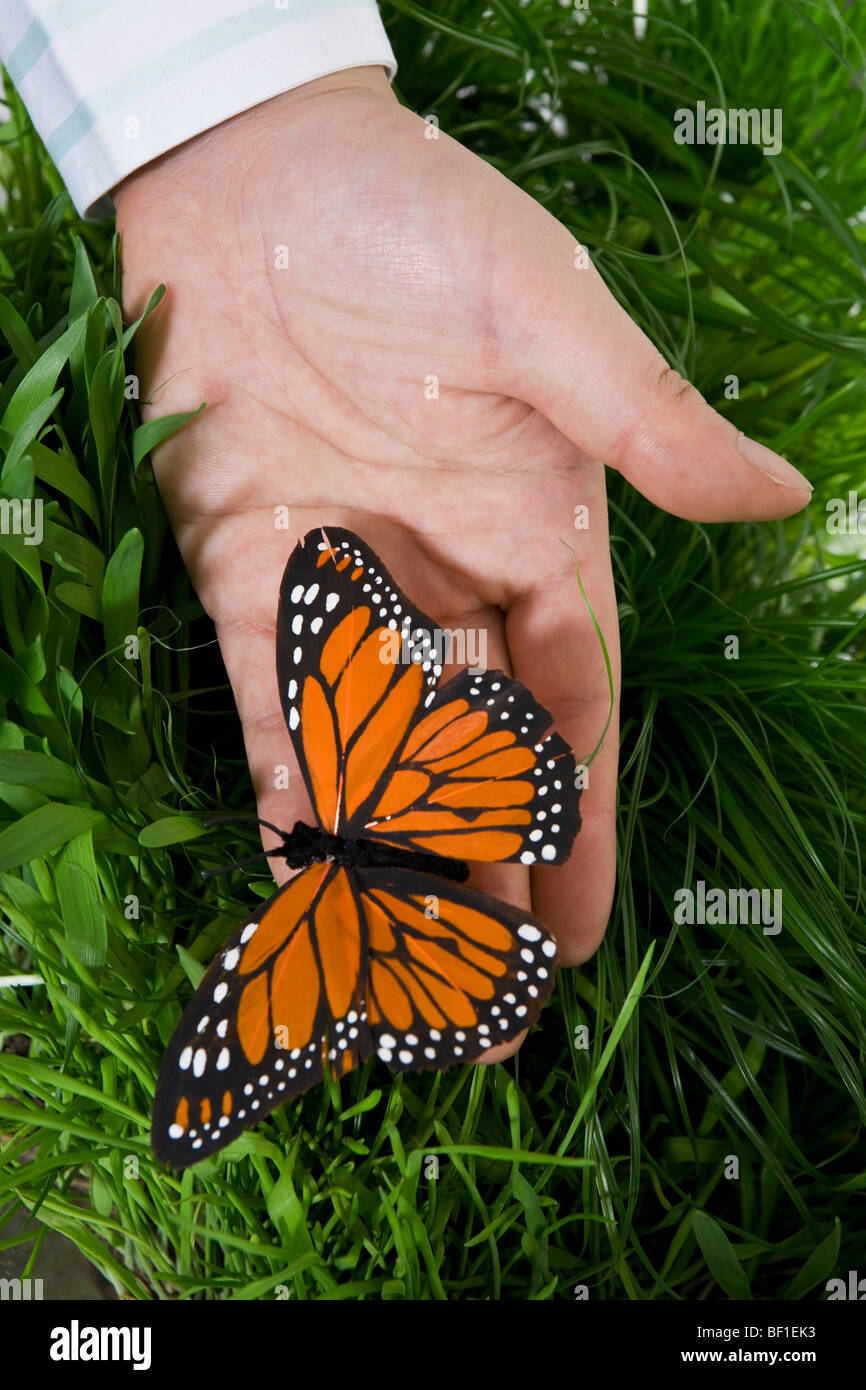 Monarch Butterfly Artificial