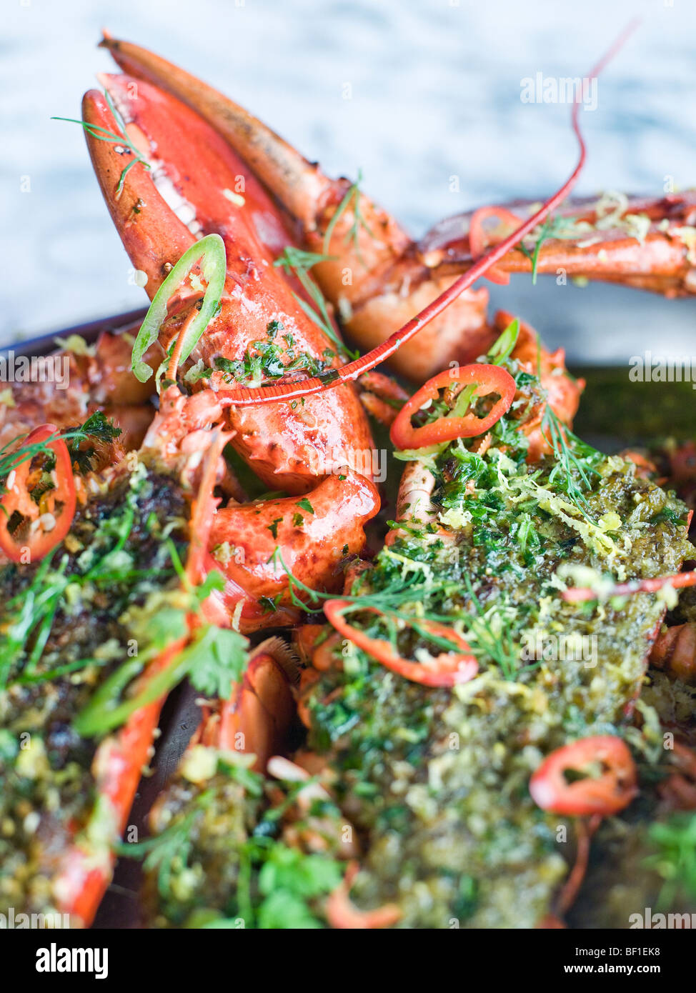 Prepared lobster, close-up, Sweden Stock Photo - Alamy