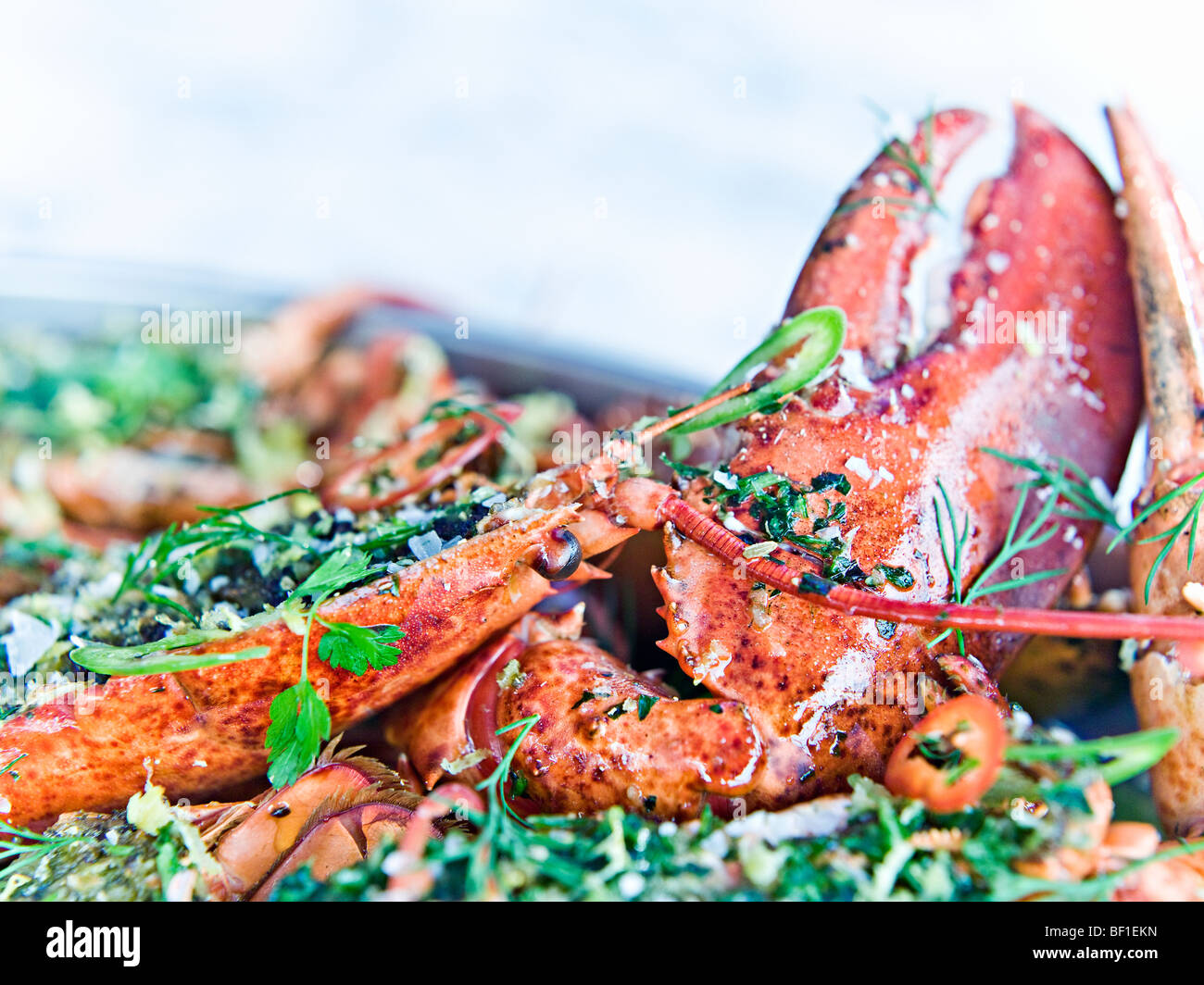 Lobster colors hi-res stock photography and images - Alamy